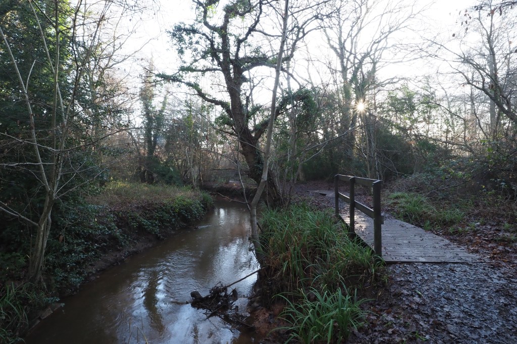 Friends of Cabrera Trust and Woods – Raising funds to help protect and ...